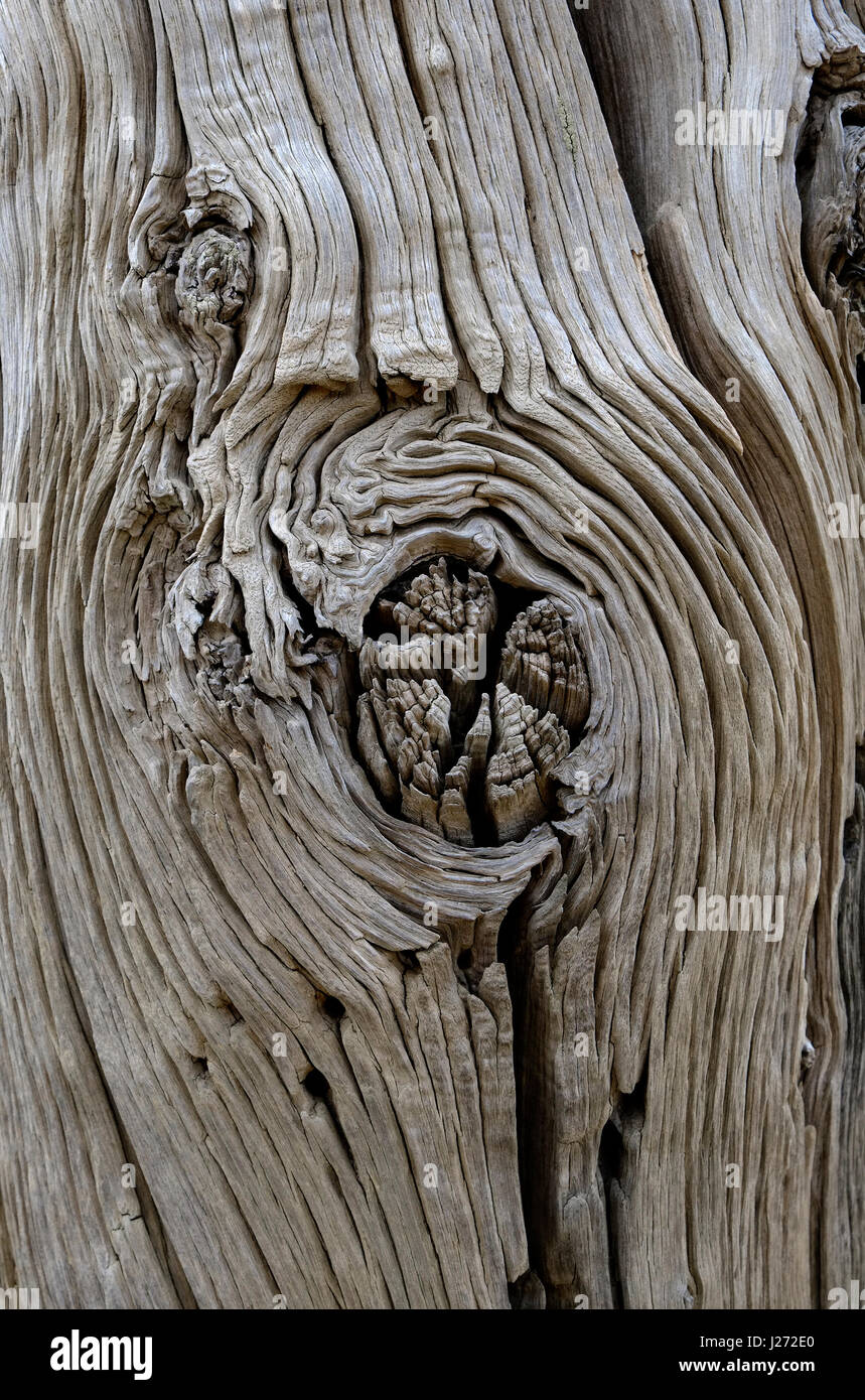 Old timber posts hi-res stock photography and images - Alamy