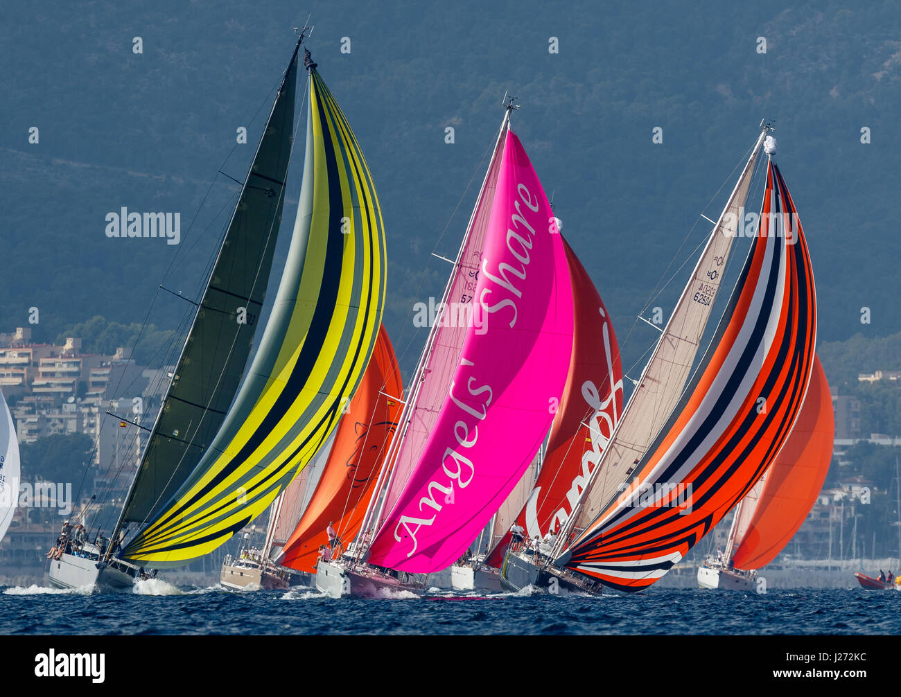Yacht Sailing Race Stock Photo - Alamy
