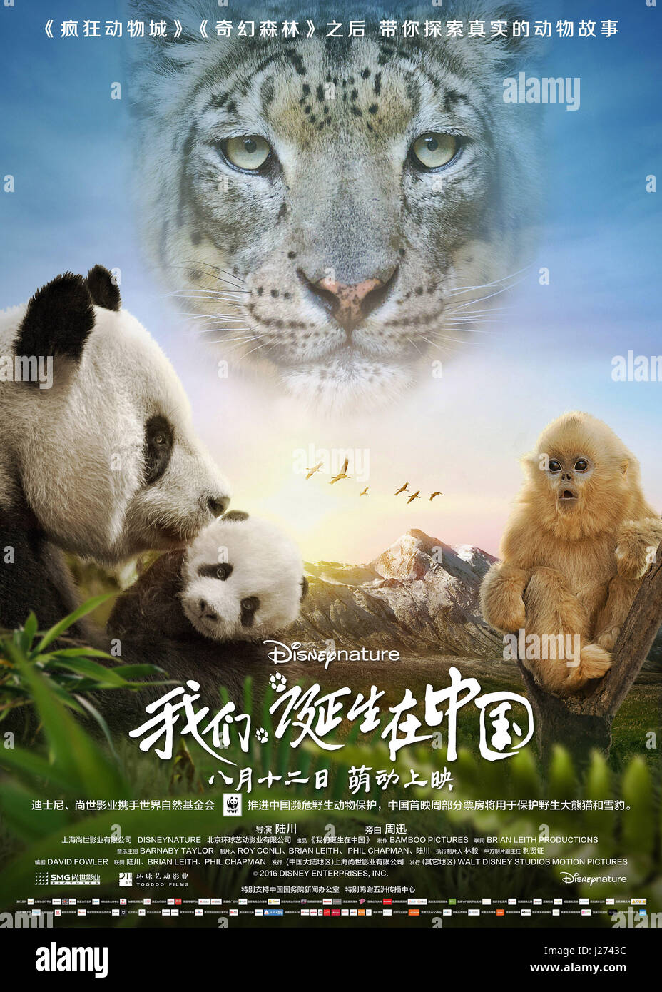 BORN IN CHINA, Chinese poster art, 2016. ©Walt Disney Studios Motion ...
