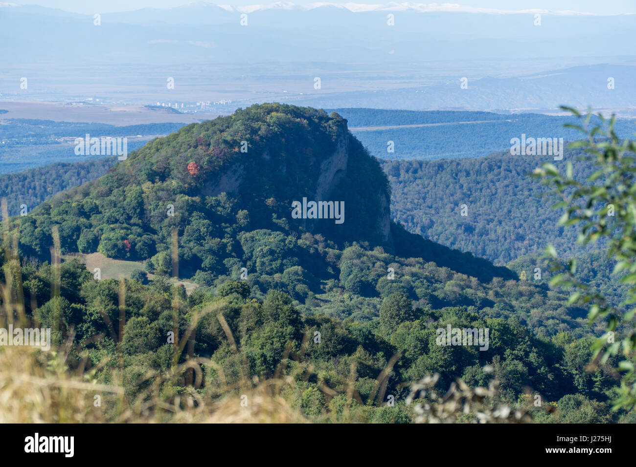 Cliff ecology hi-res stock photography and images - Alamy