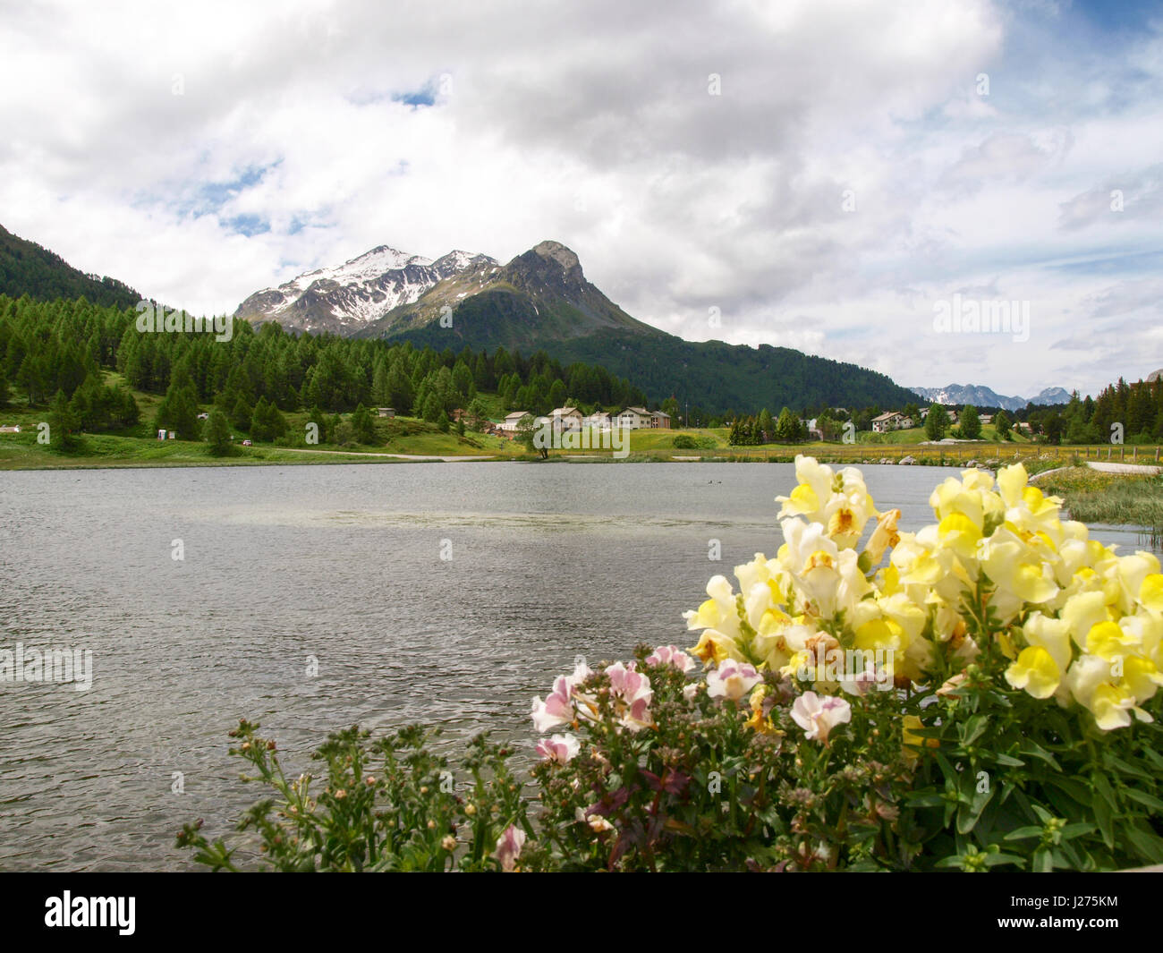 Sils pond hi-res stock photography and images - Alamy