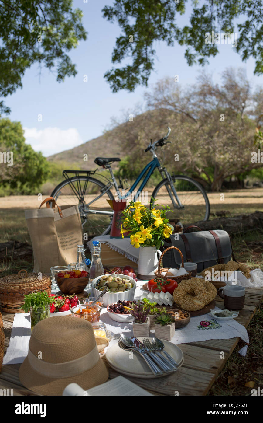 A picnic scene in the countryside, with a bike and fresh foods laid out ...