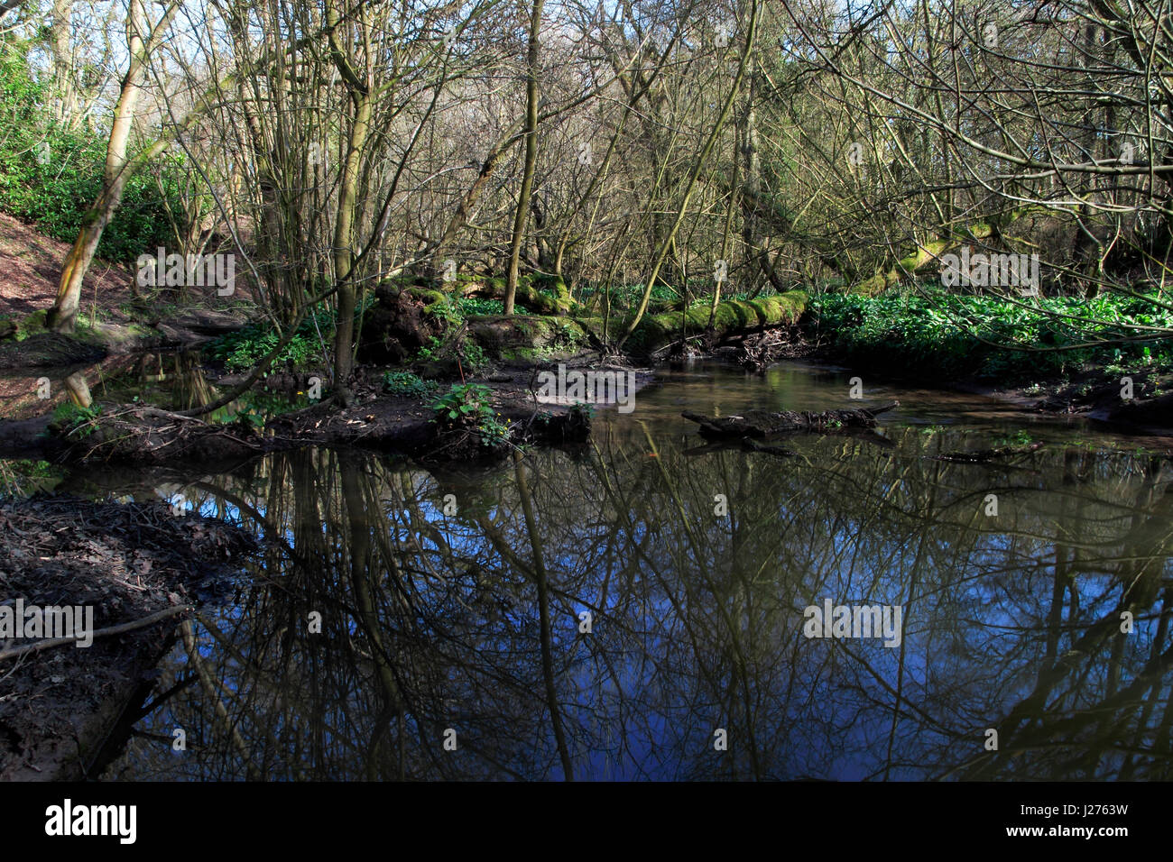 Lymm Dam, Warrington, Cheshire, Northwest England, UK Stock Photo - Alamy