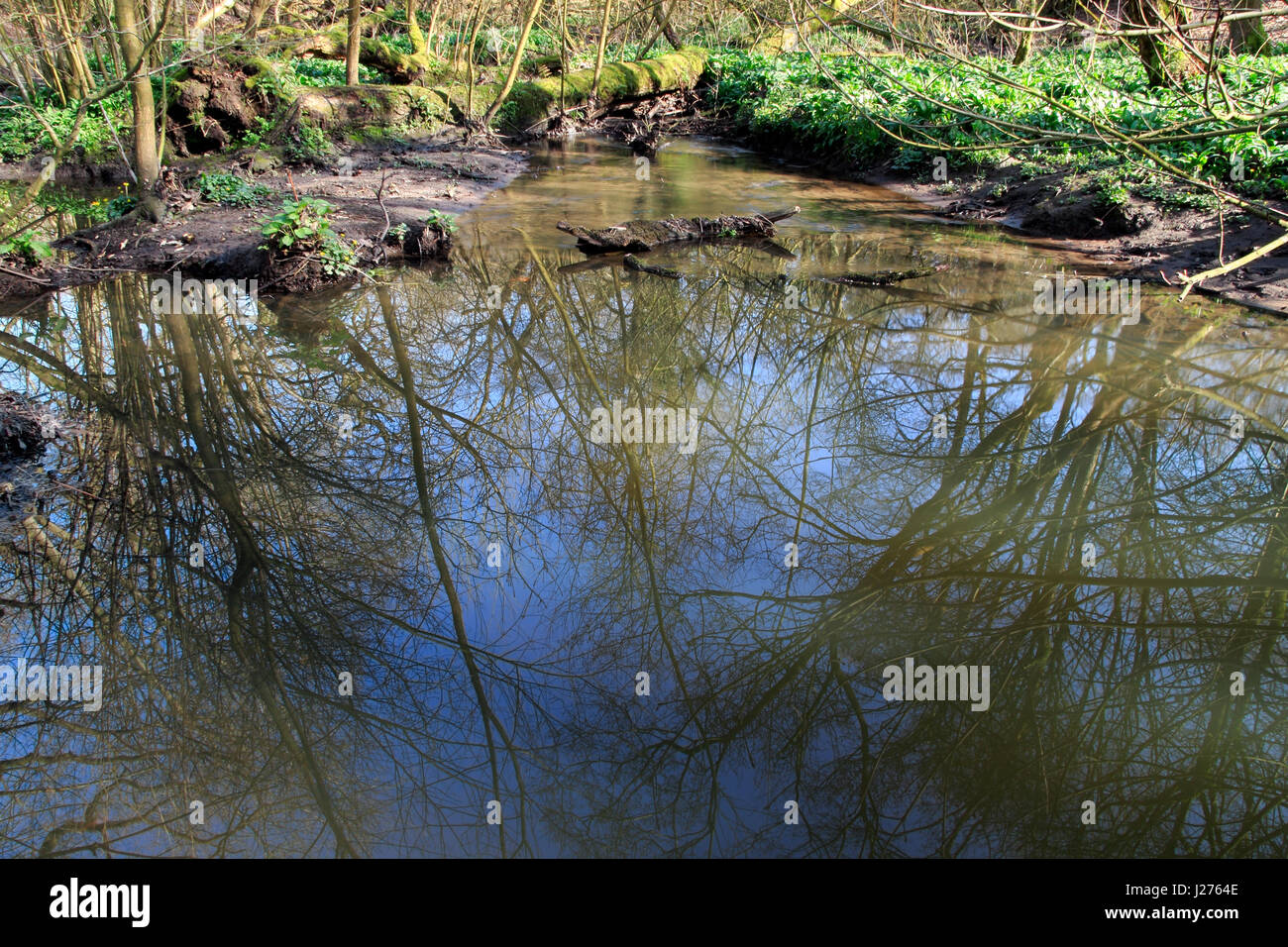 Lymm Dam High Resolution Stock Photography and Images - Alamy