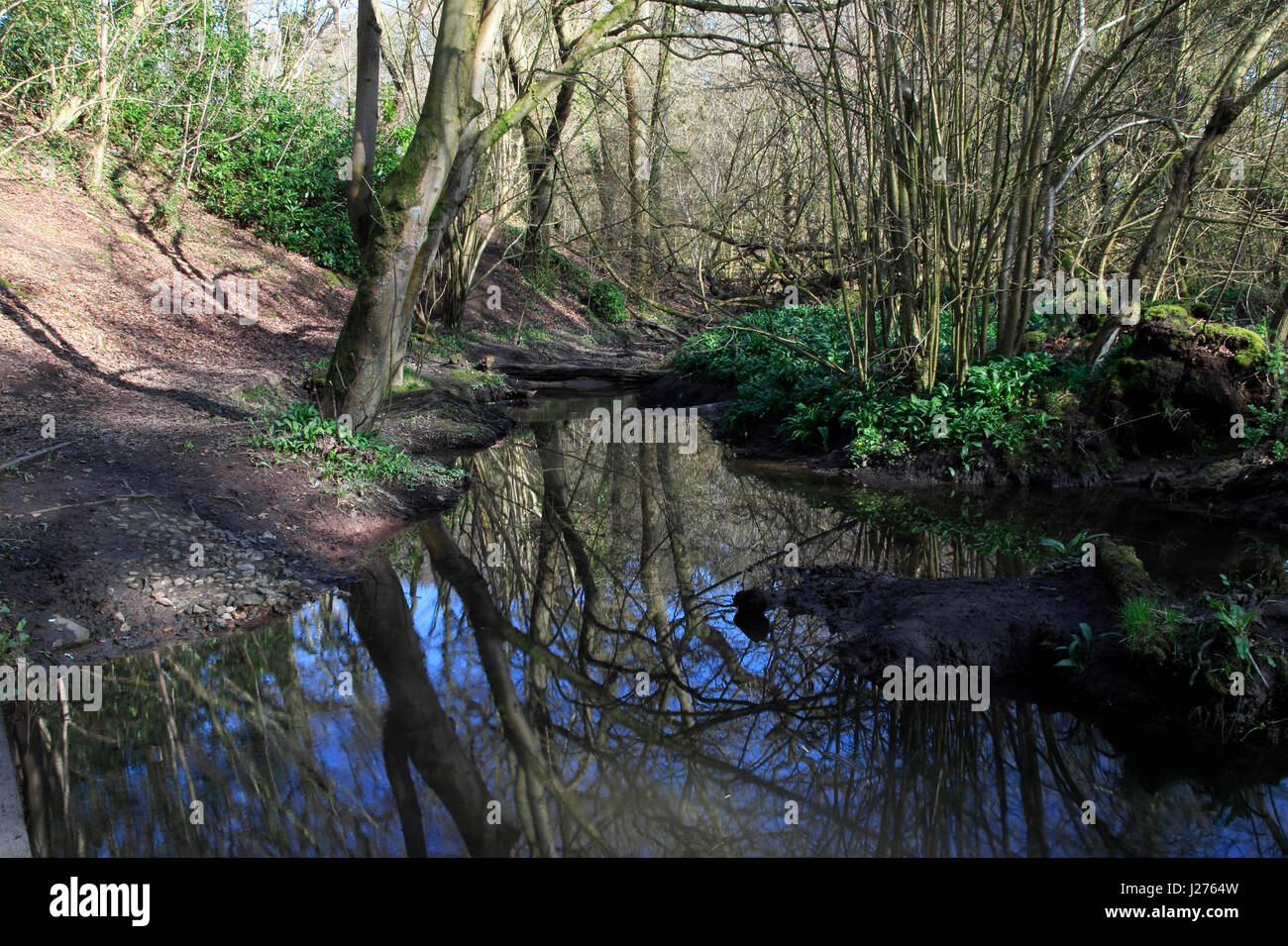 Lymm Dam, Warrington, Cheshire, Northwest England, UK Stock Photo - Alamy