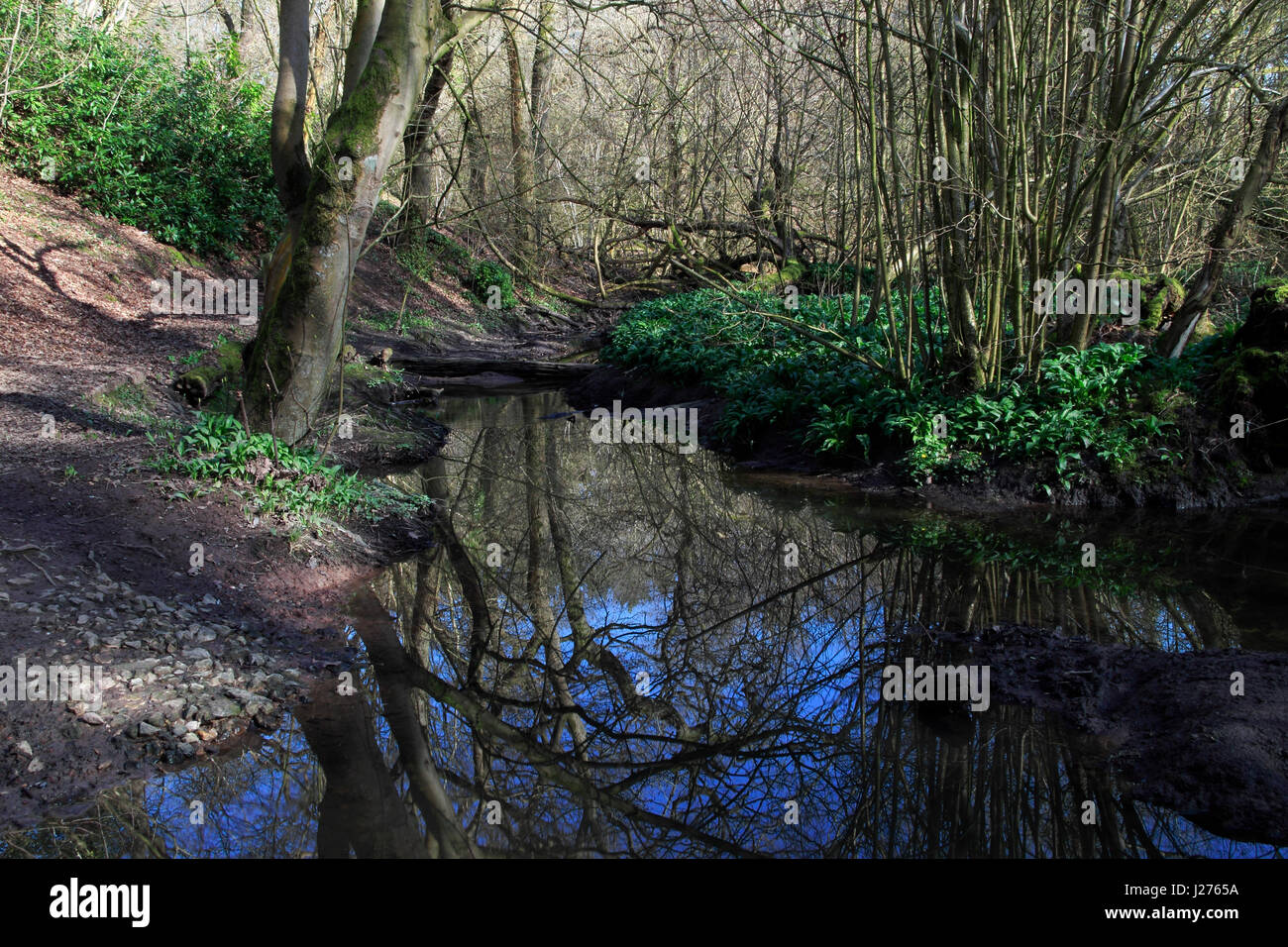 Lymm Dam, Warrington, Cheshire, Northwest England, UK Stock Photo - Alamy