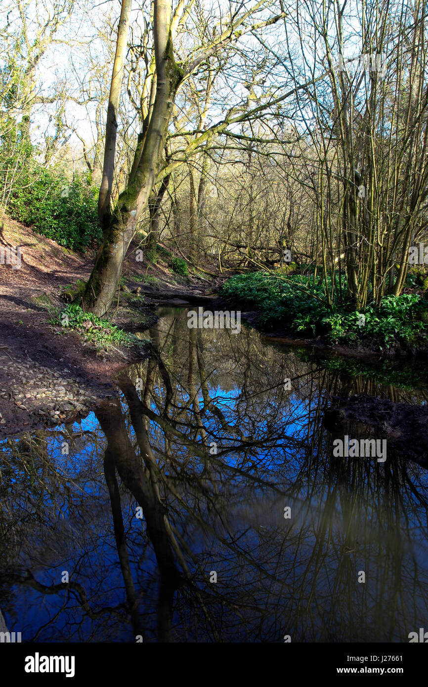 Lymm Dam, Warrington, Cheshire, Northwest England, UK Stock Photo - Alamy