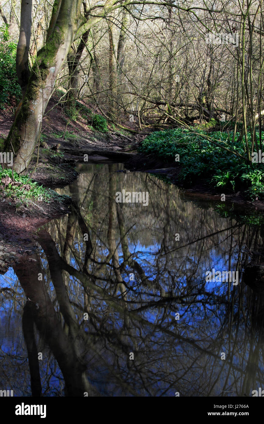 Lymm Dam, Warrington, Cheshire, Northwest England, UK Stock Photo - Alamy