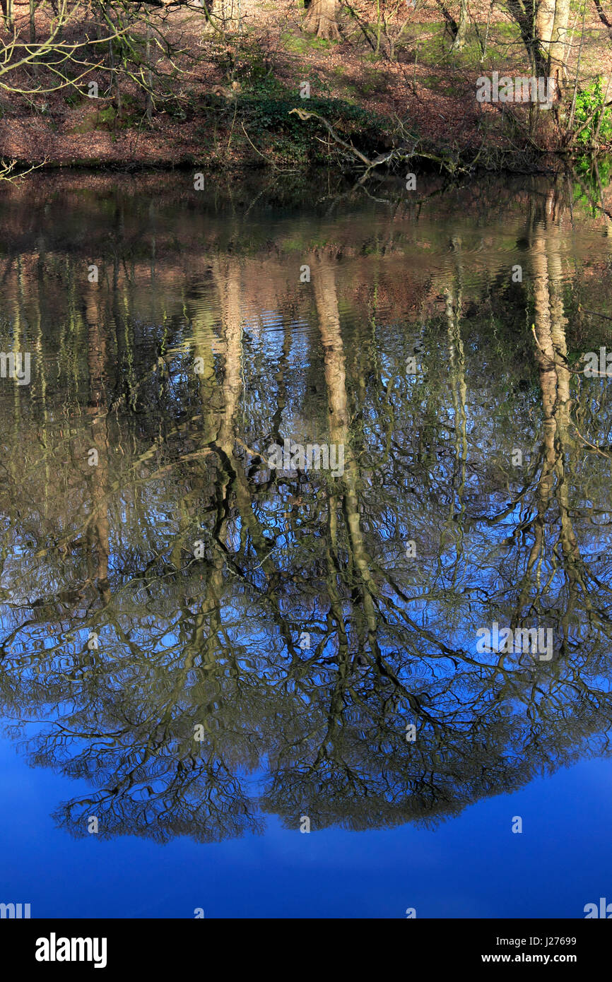 Lymm Dam, Warrington, Cheshire, Northwest England, UK Stock Photo - Alamy