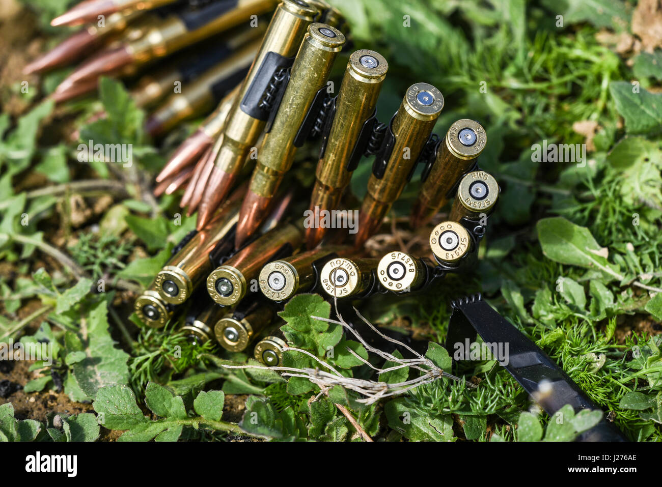 Black line hunting cartridge belt hi-res stock photography and images ...