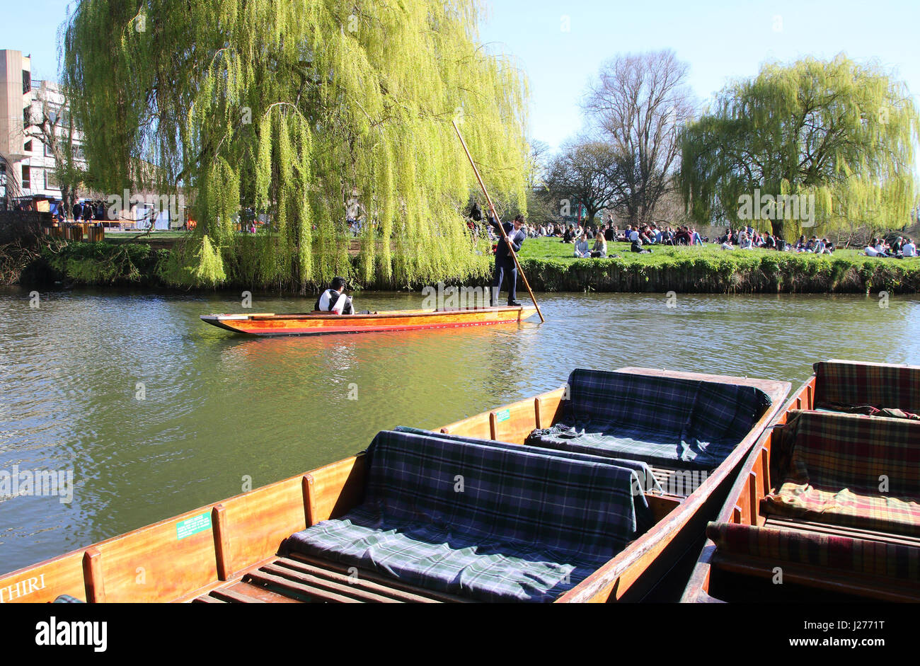 Punting on the River Cam on a Spring Day in Cambridge, UK Featuring ...