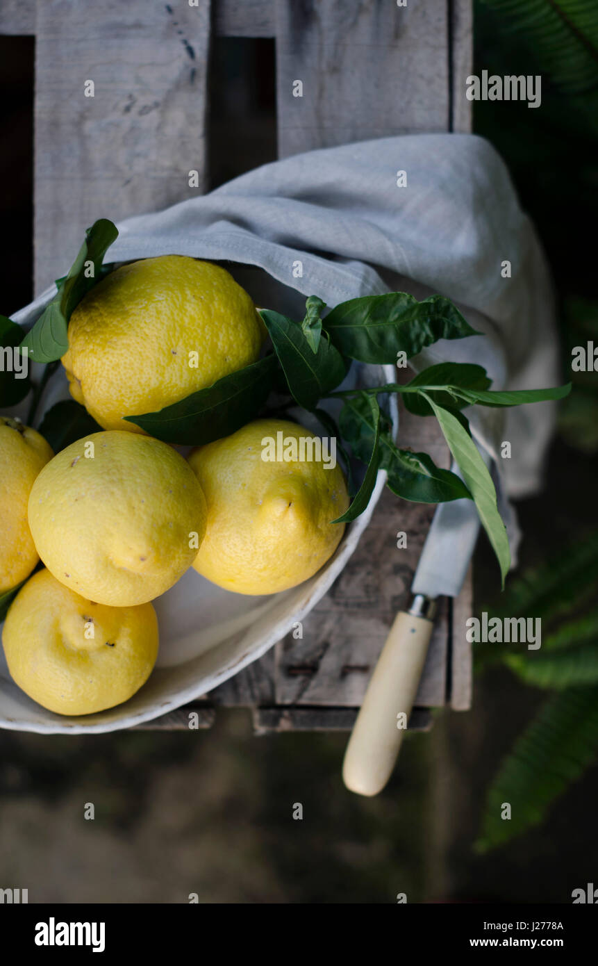 Freshly picked lemons in a garden Stock Photo - Alamy