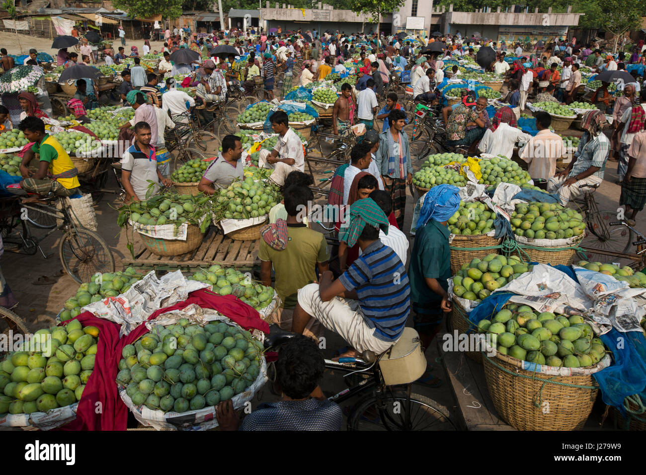 Vendors and traders gather at the Kanshat Mango Market, the largest ...