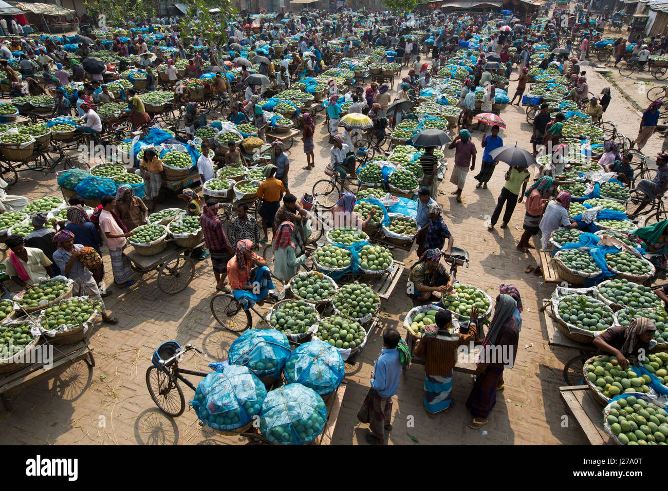 Vendors and traders gather at the Kanshat Mango Market, the largest ...