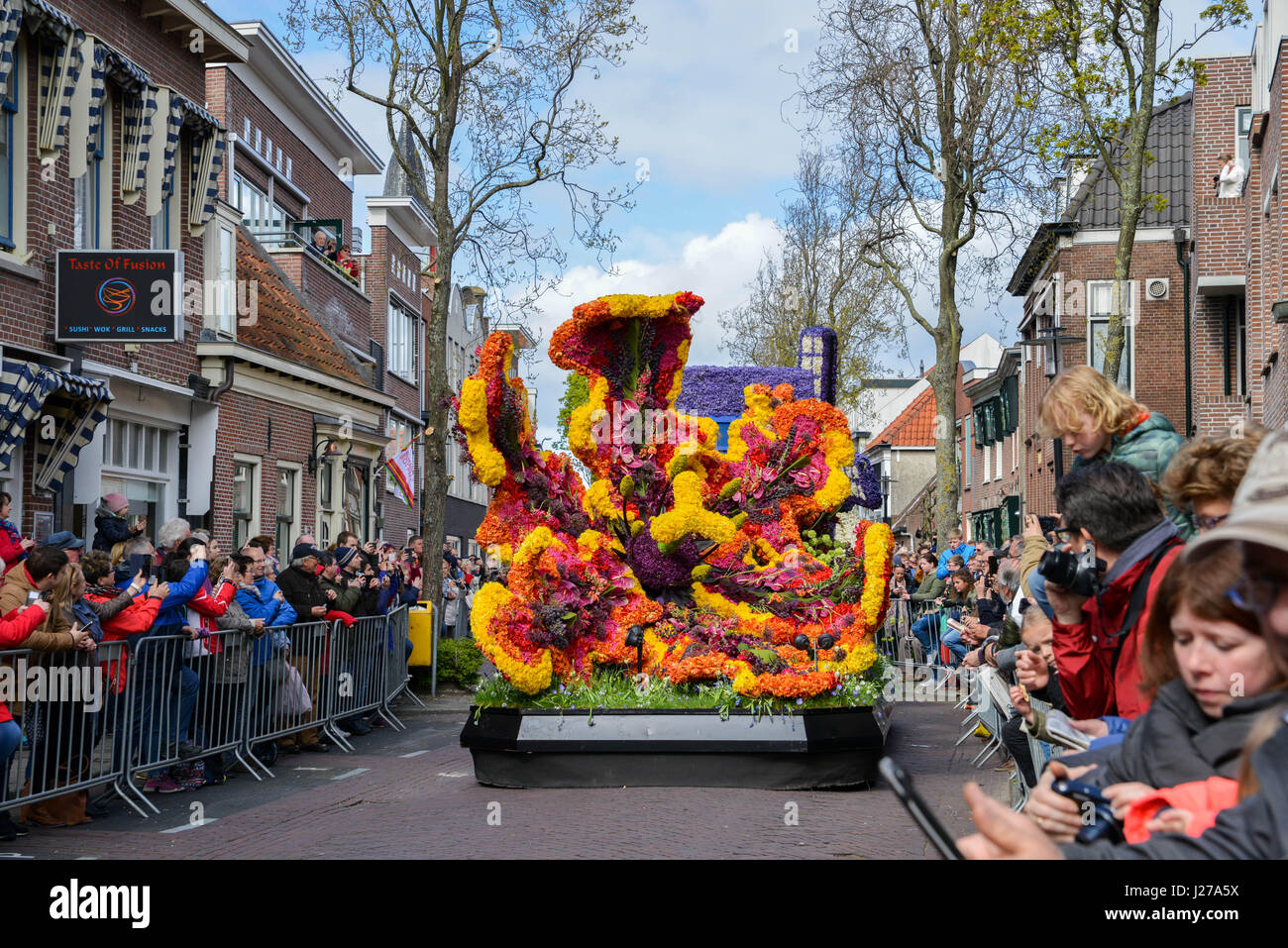 Annual dutch flower parade hi-res stock photography and images - Alamy