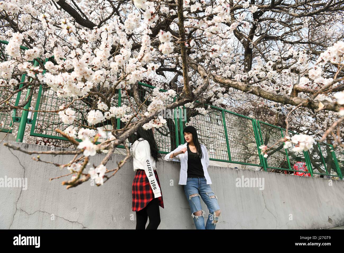Harbin engineering university hi-res stock photography and images - Alamy