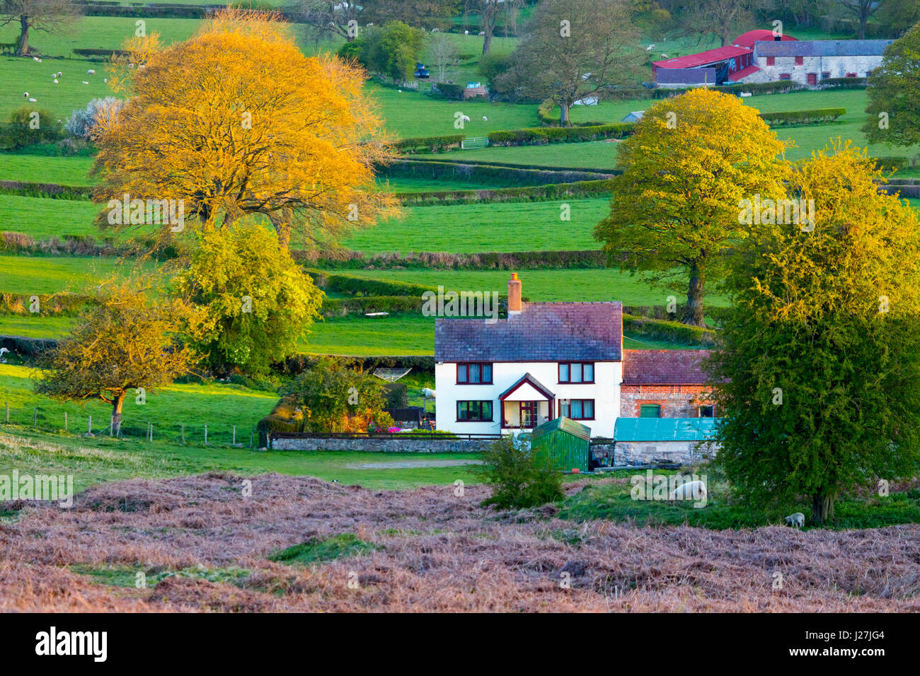 Rural Welsh Landscape and the cottage Tan-y-Foel in the village of Rhes ...