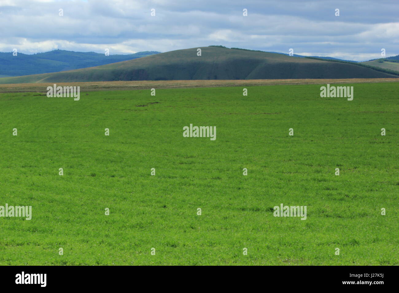 Treaty of nerchinsk 1689 hi-res stock photography and images - Alamy
