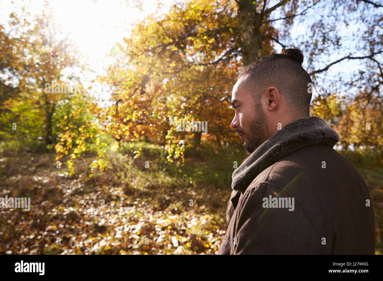 One person walking woodland hi-res stock photography and images - Alamy