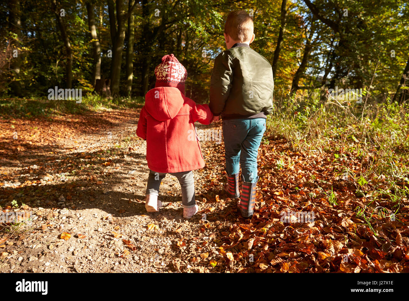 Rear View Of Children On Autumn Walk In Woodland Together Stock Photo ...