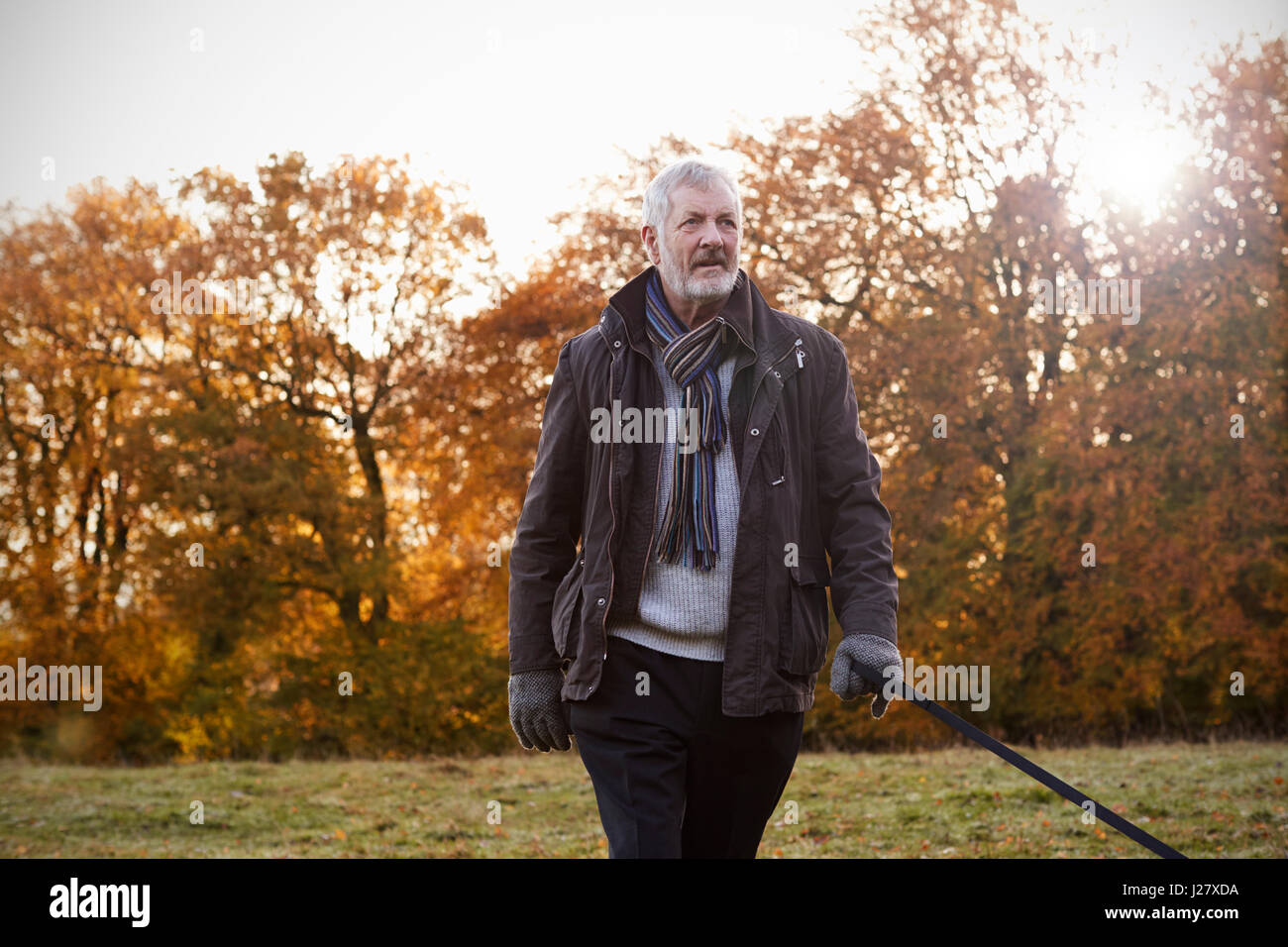 Dog landscape hi-res stock photography and images - Alamy