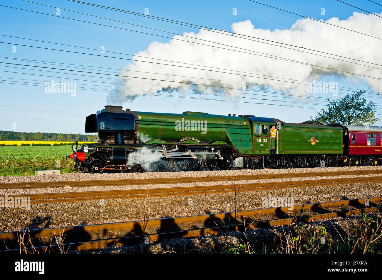 Flying Scotsman at Beningbrough four trains event Stock Photo - Alamy