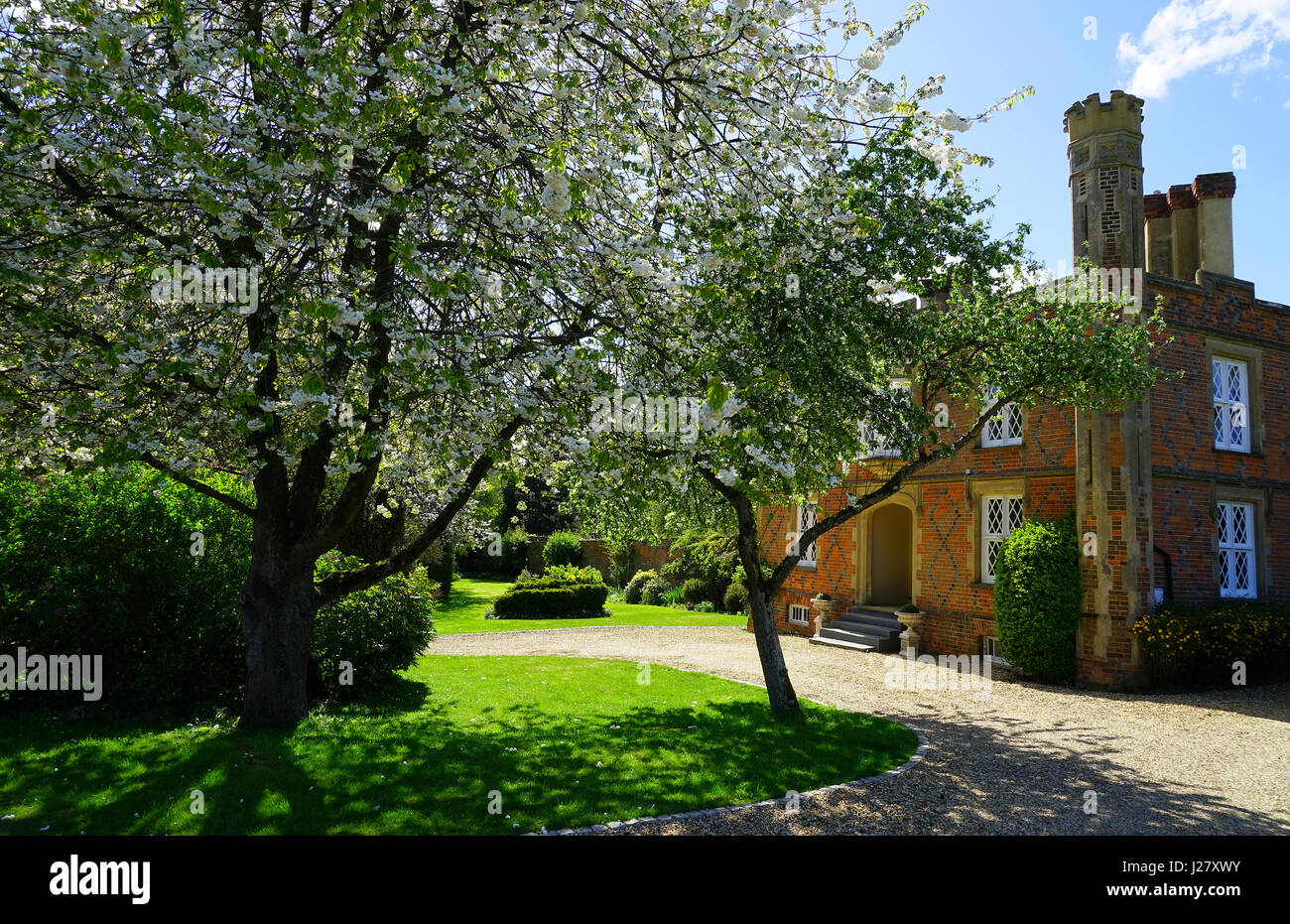 Cherry trees in blossom at the Dower House, Stagenhoe Stock Photo - Alamy