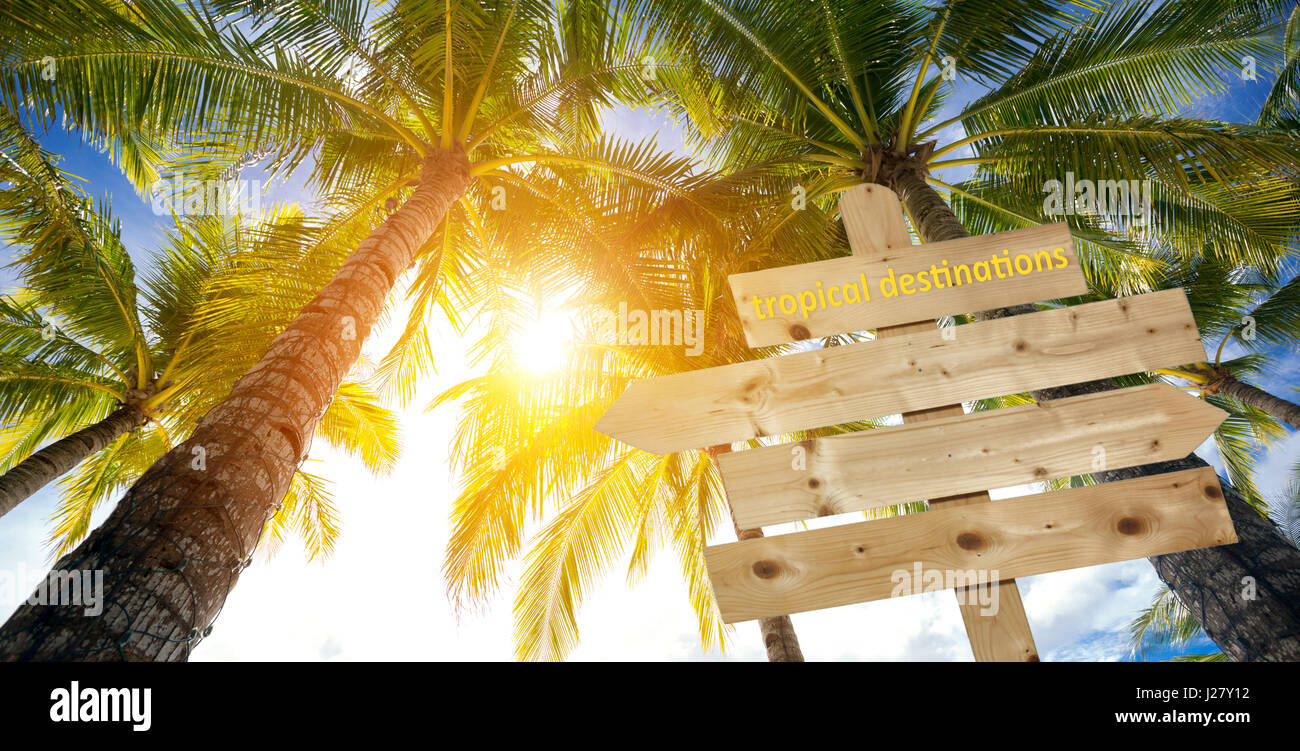 tropical destinations on sign and palm trees over beautiful sunny sky ...