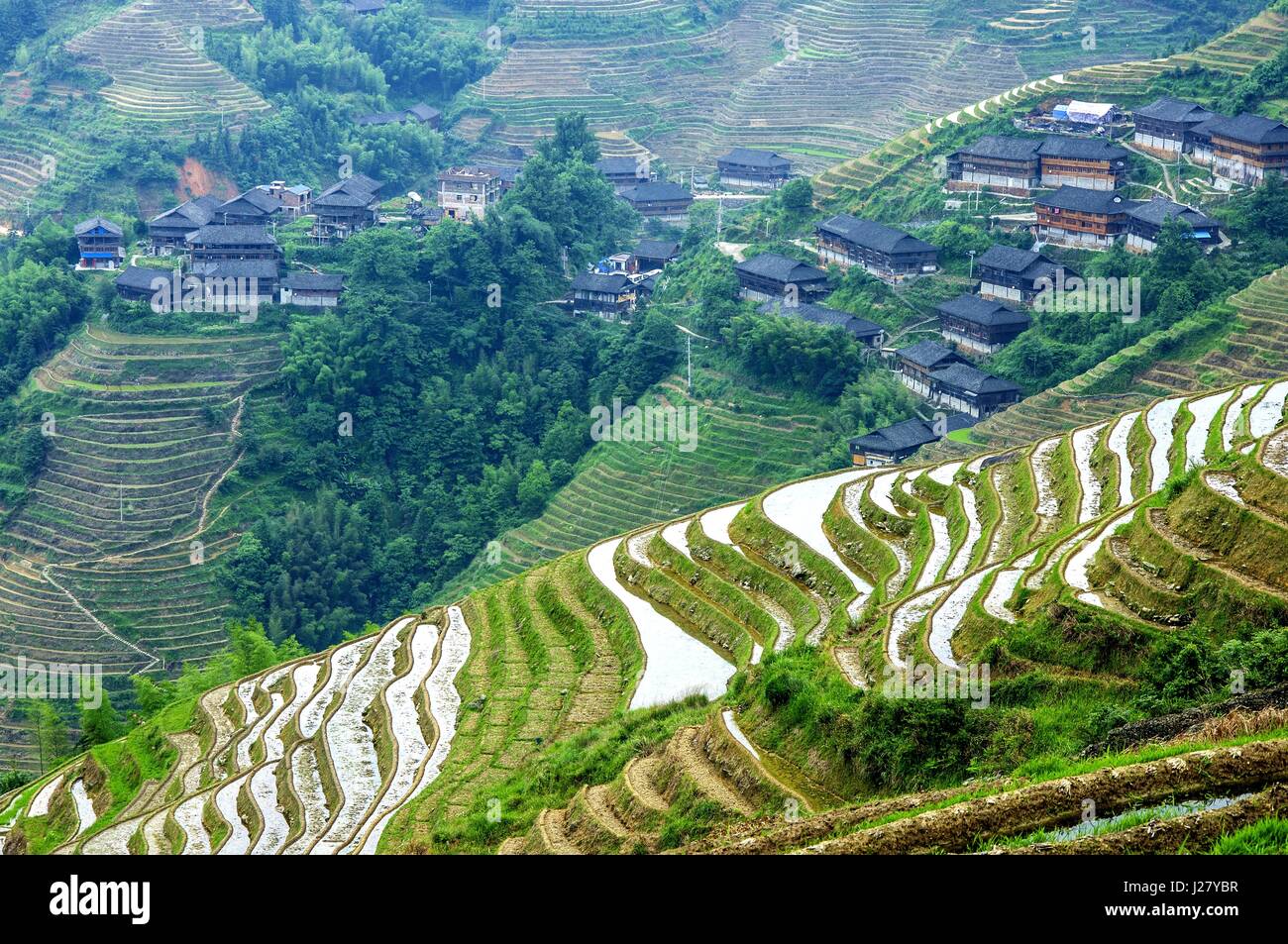 Beautiful rice terraced fields scenery in spring Stock Photo - Alamy