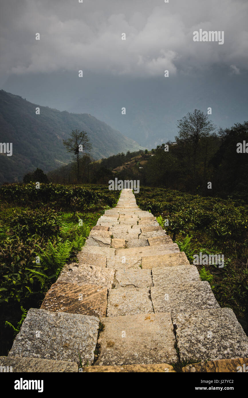 Trekking path made of stairs built using stone slabs in the Annapurna ...