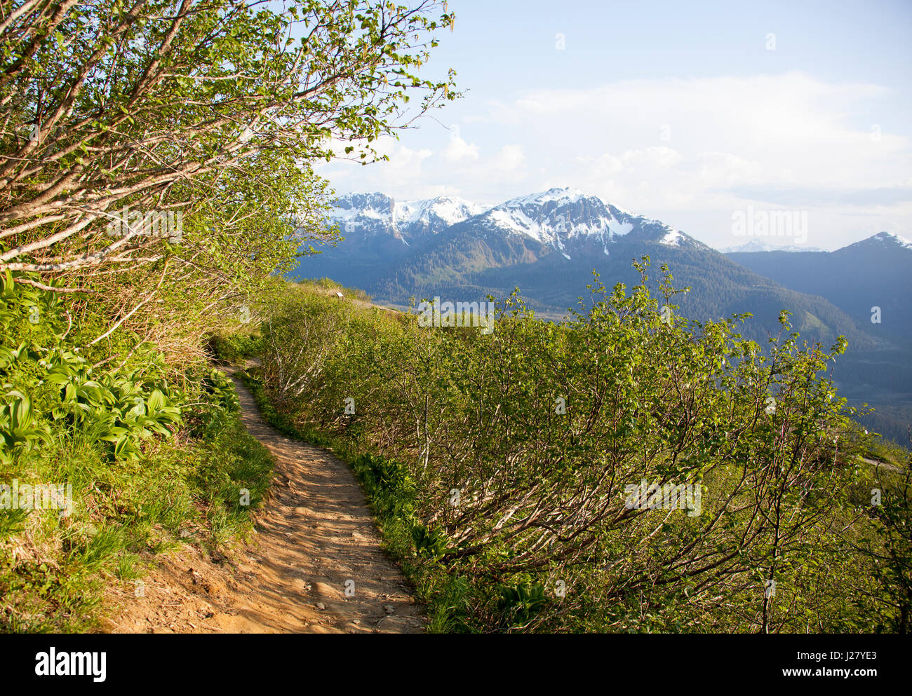 Mount Robert trail in a sunset light (Juneau, Alaska Stock Photo - Alamy