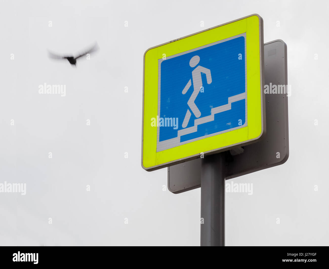 Pedestrian crossing sign bird hi-res stock photography and images - Alamy