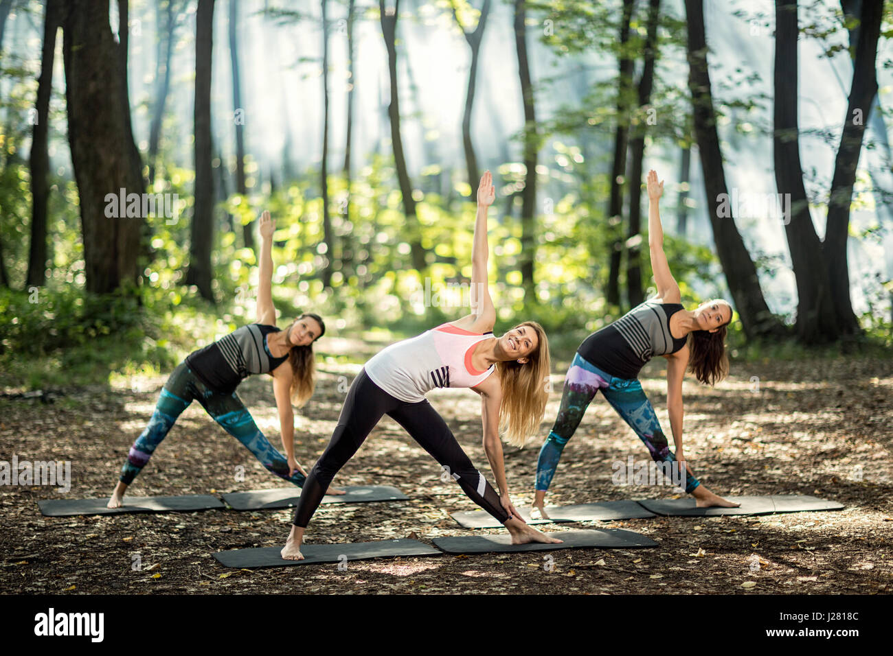 Group exercises, stretching and relaxing in nature Stock Photo - Alamy