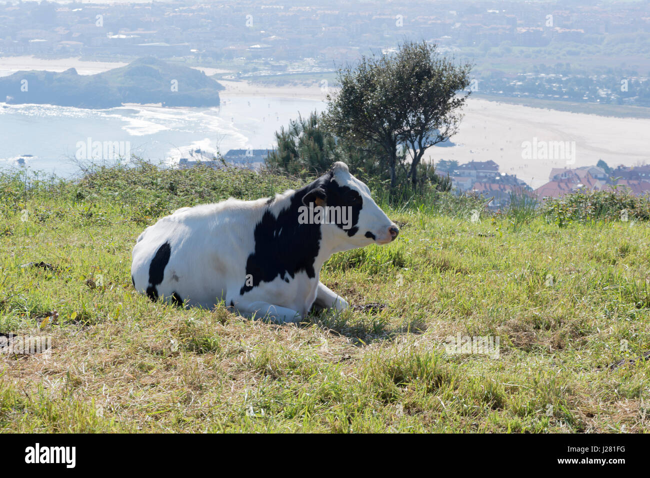 By the cape of quejo in the province of Cantabria Stock Photo - Alamy
