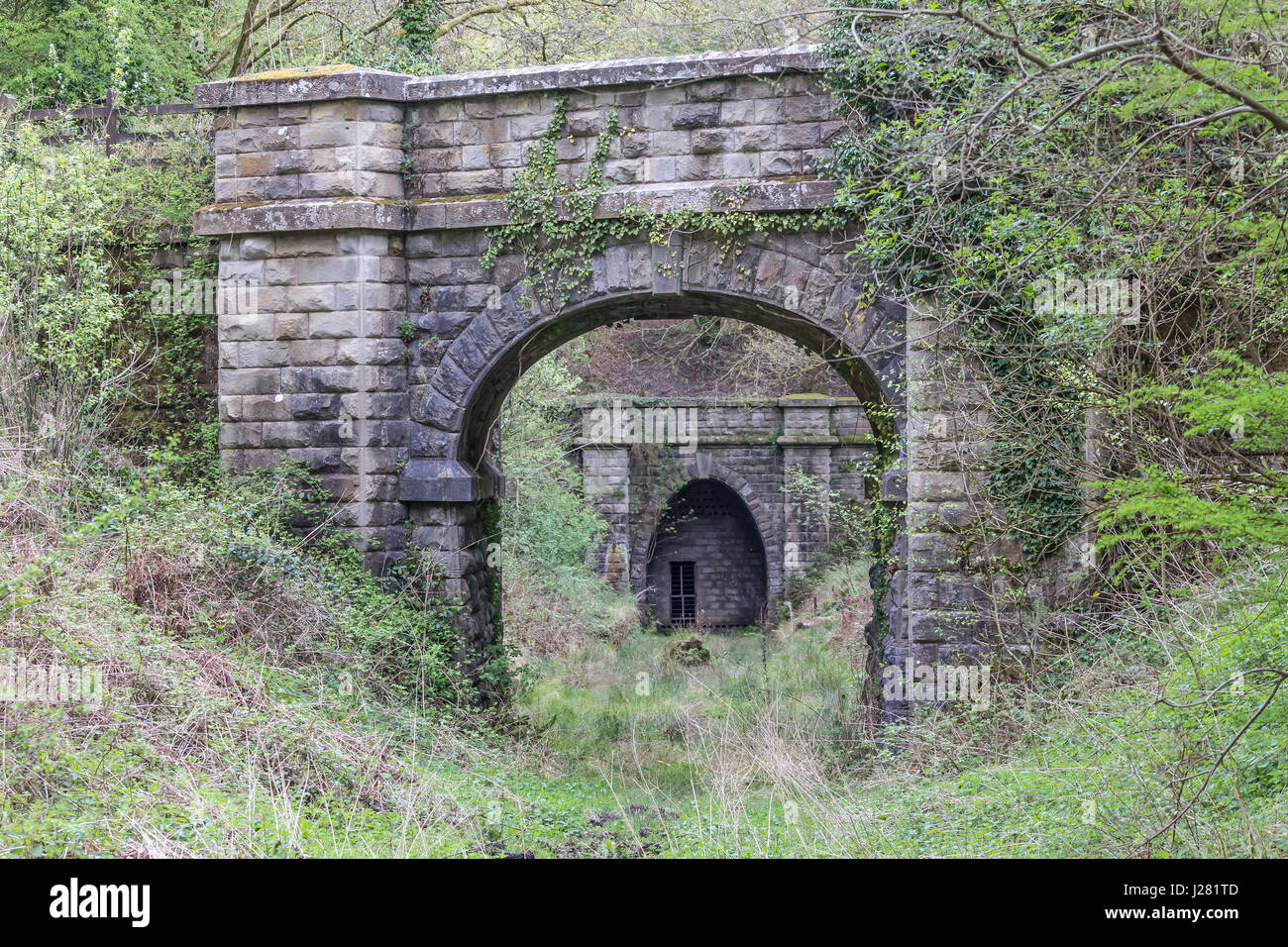Mireystock railway tunnel forest of dean hi-res stock photography and ...