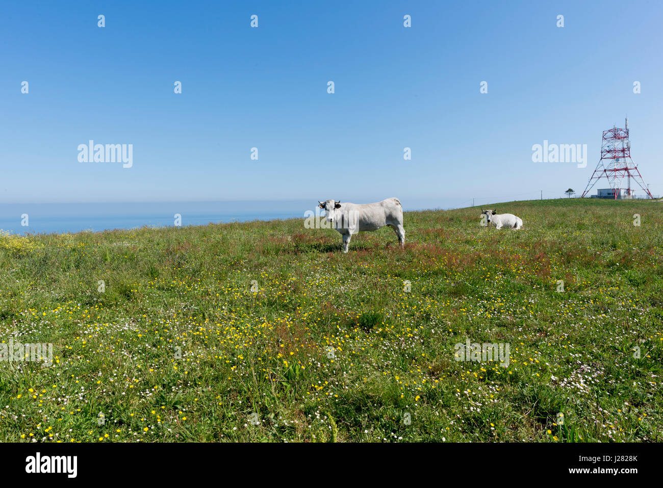 By the cape of quejo in the province of Cantabria Stock Photo - Alamy