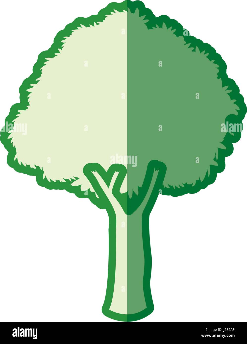 drawing tree natural plant design image Stock Vector Image & Art - Alamy