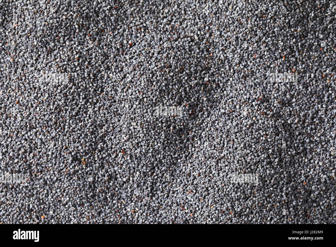 Whole black poppy seeds, full frame Stock Photo - Alamy