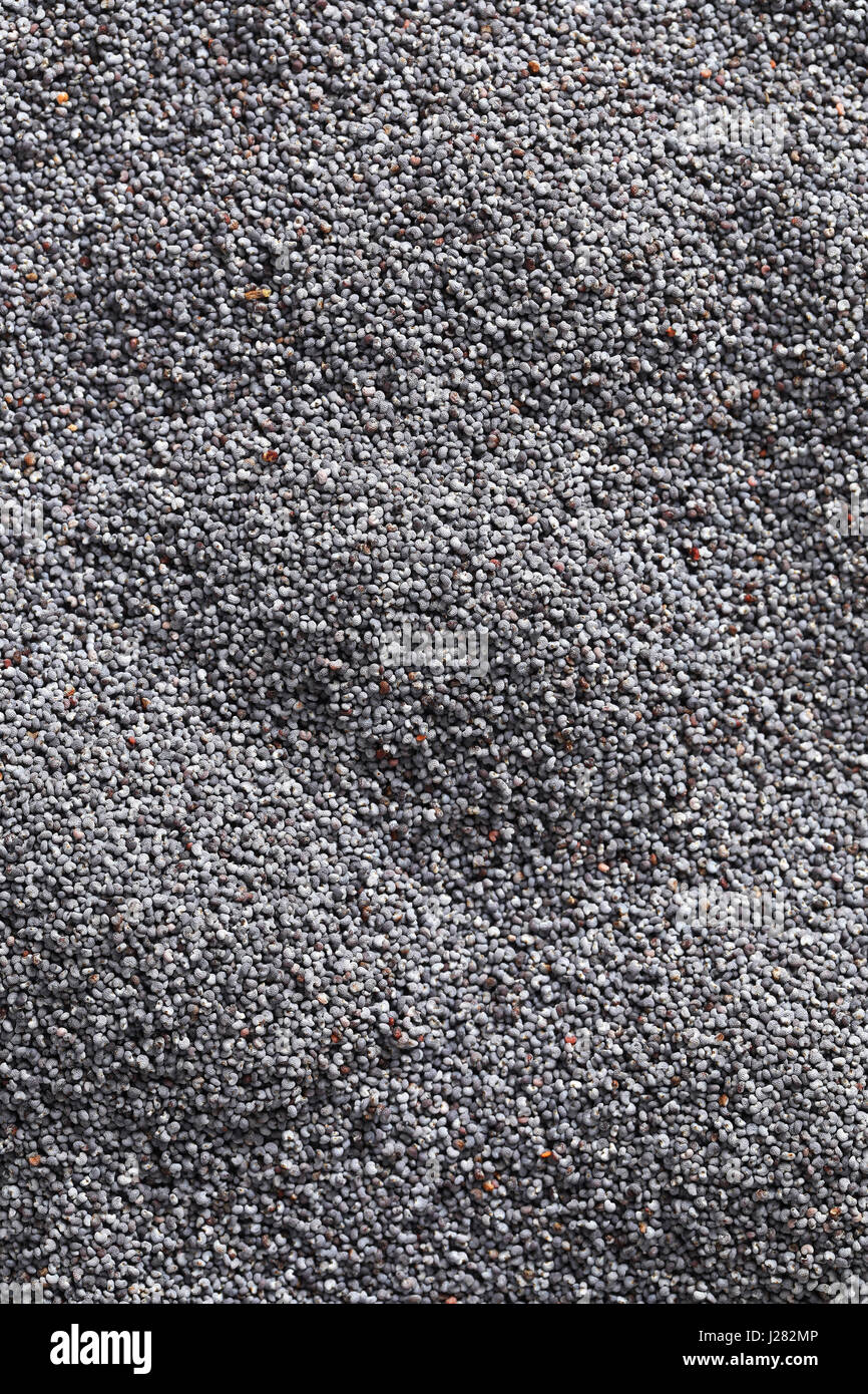 Whole black poppy seeds, full frame Stock Photo - Alamy