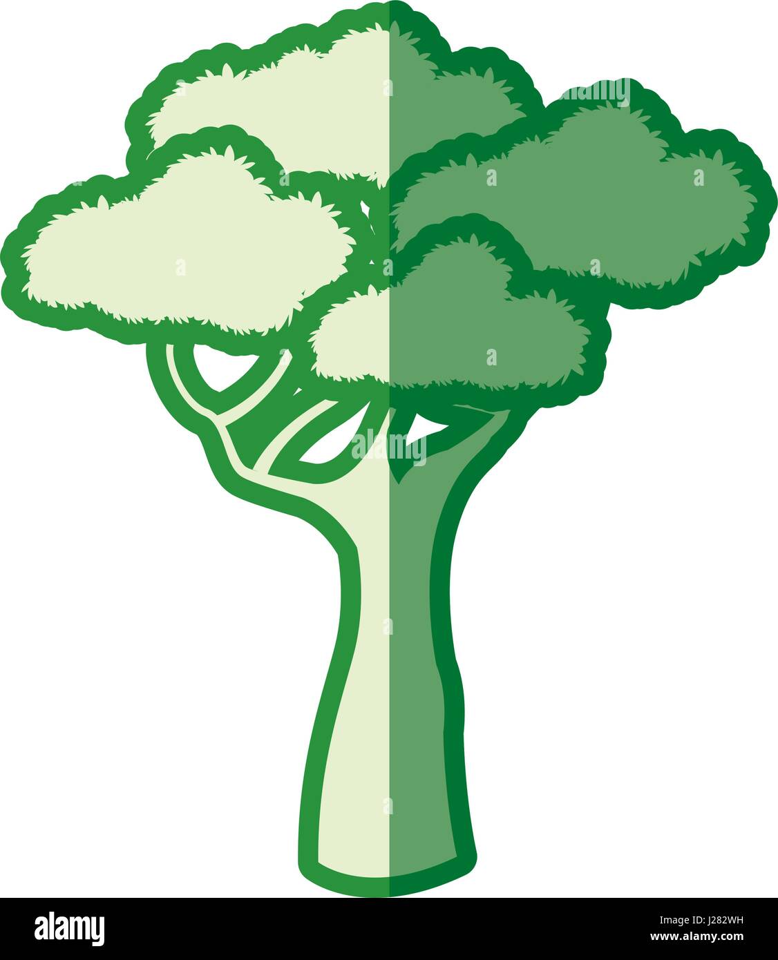 drawing tree natural plant design image Stock Vector Image & Art - Alamy
