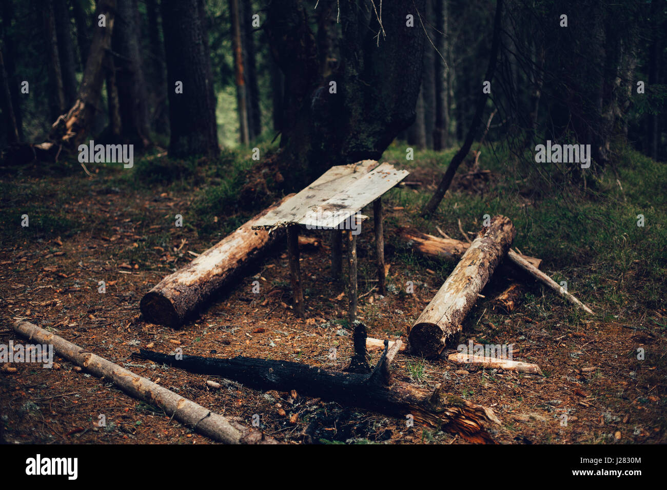 Wooden picnic table and bench in a forest at fall Stock Photo - Alamy