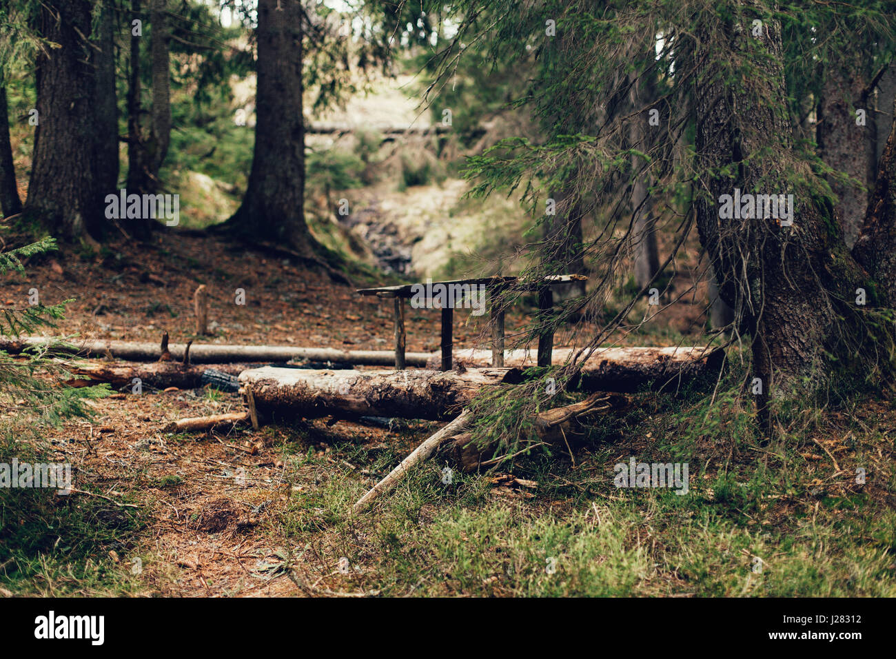Wooden picnic table and bench in a forest at fall Stock Photo - Alamy