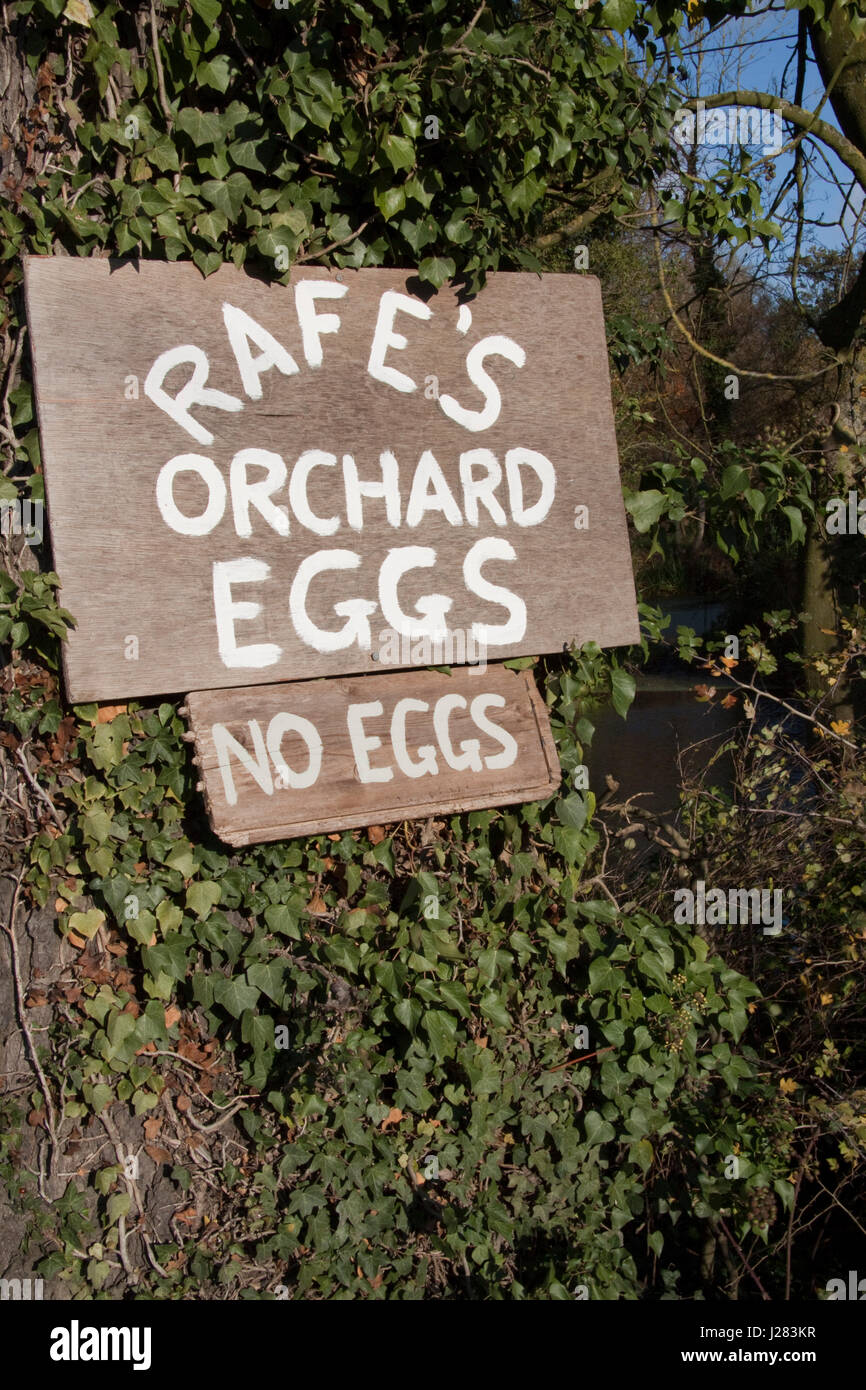 Handmade sign selling eggs Stock Photo - Alamy
