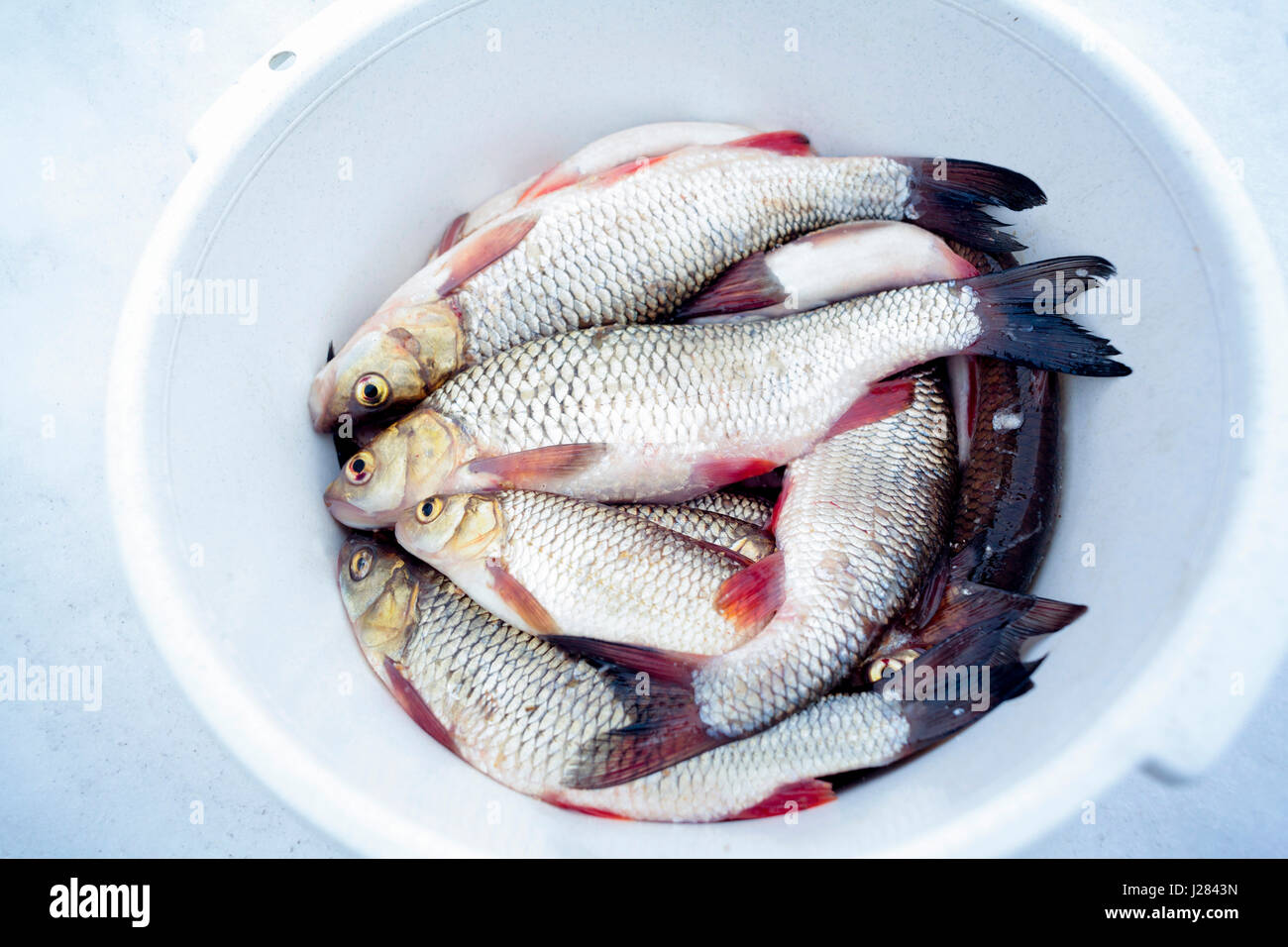 Still life food fish table hi-res stock photography and images - Alamy