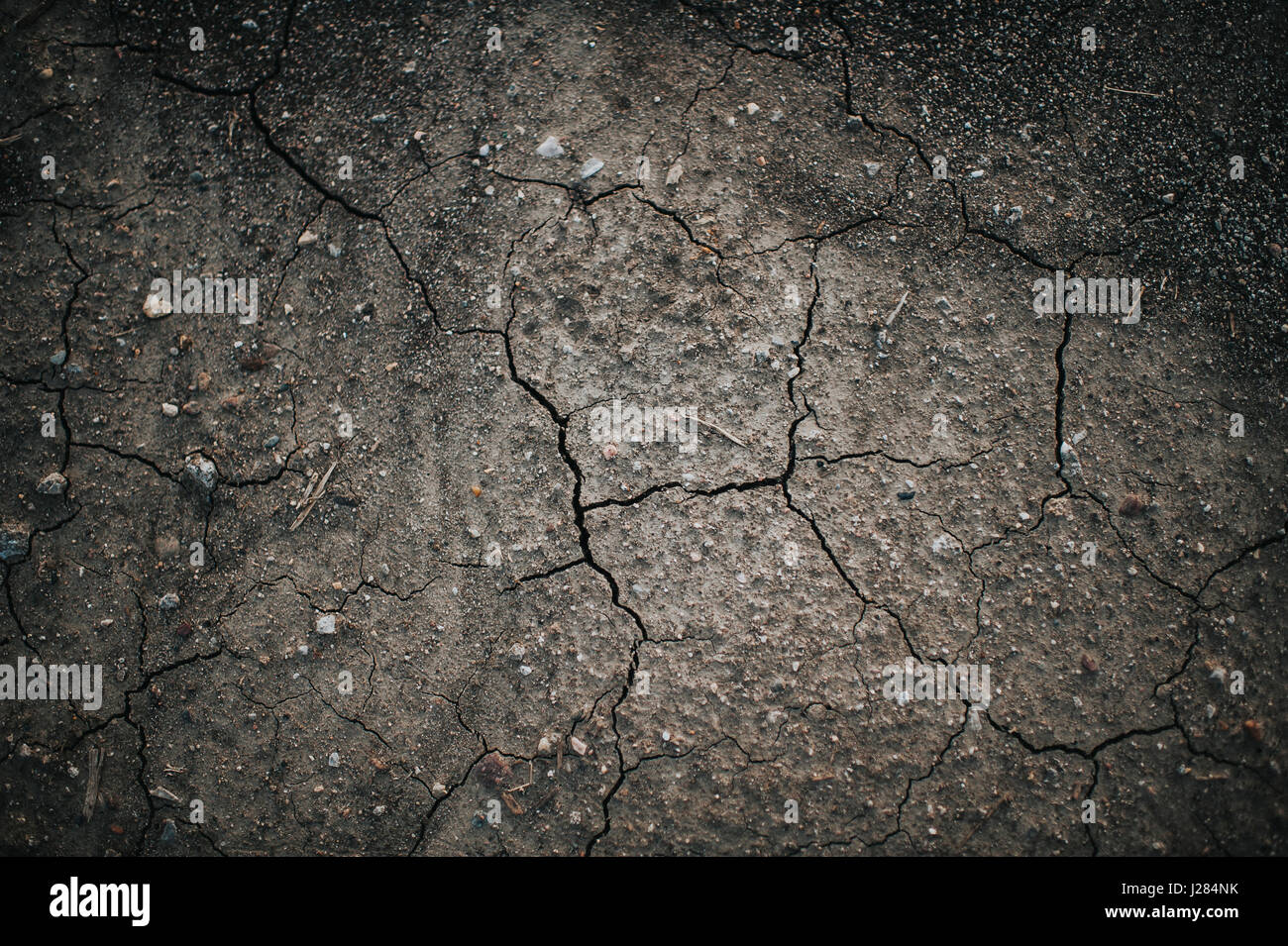 Close-up of cracked field Stock Photo - Alamy