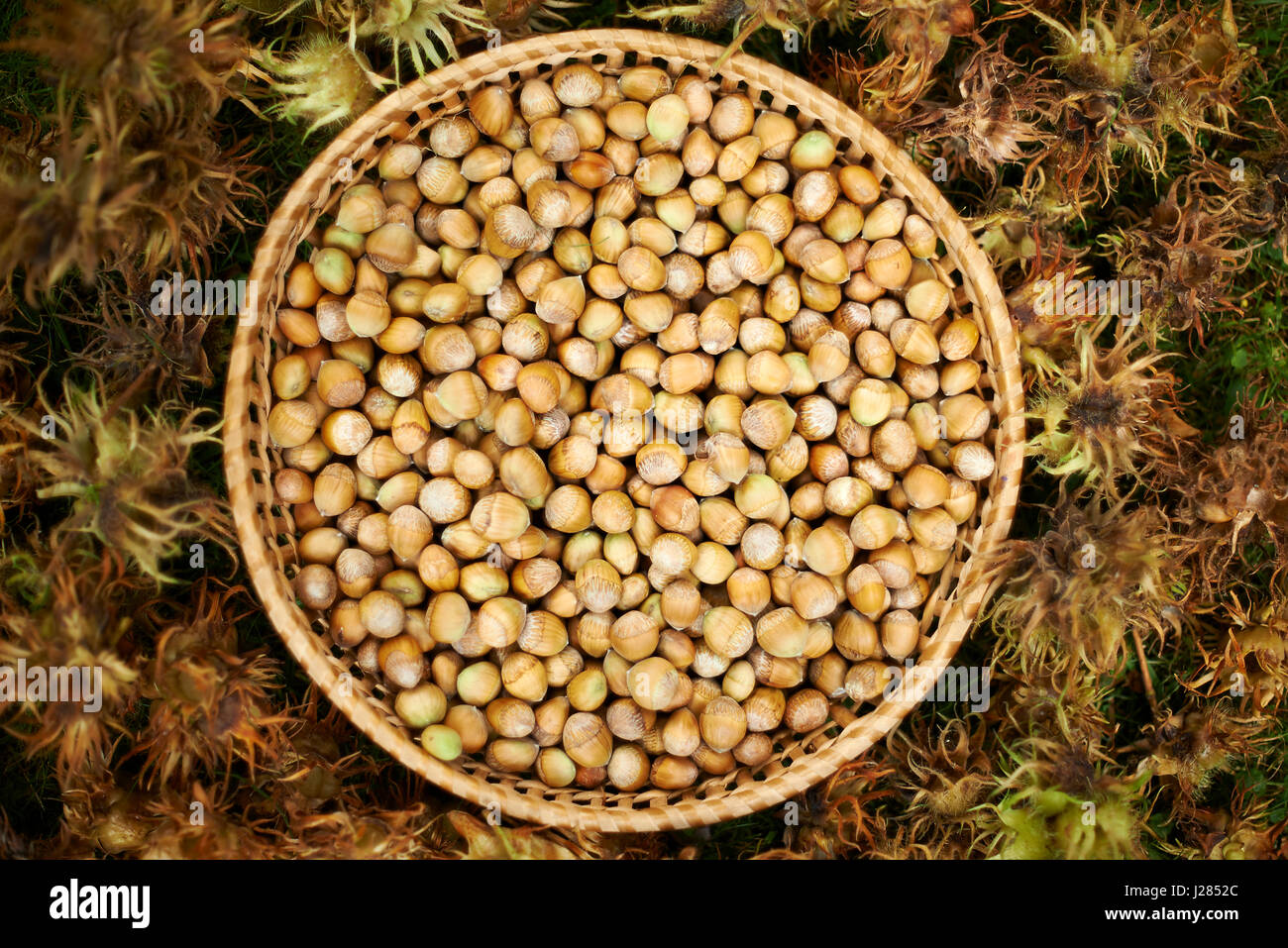Drink nut hi-res stock photography and images - Alamy