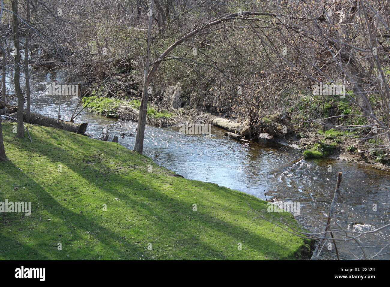 Tree over River Stock Photo - Alamy