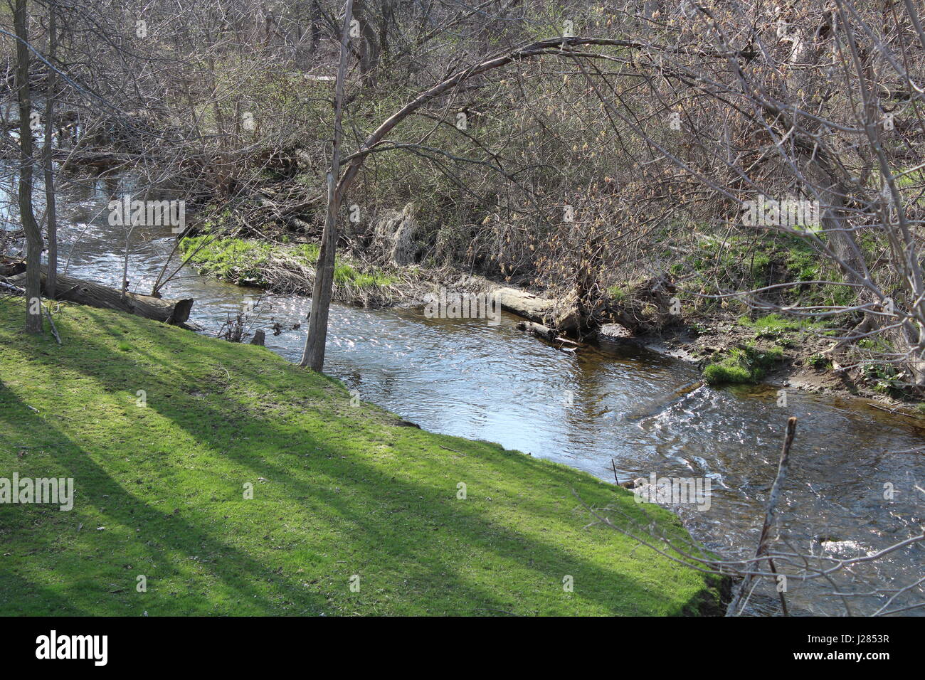 Fallen tree next to river hi-res stock photography and images - Alamy