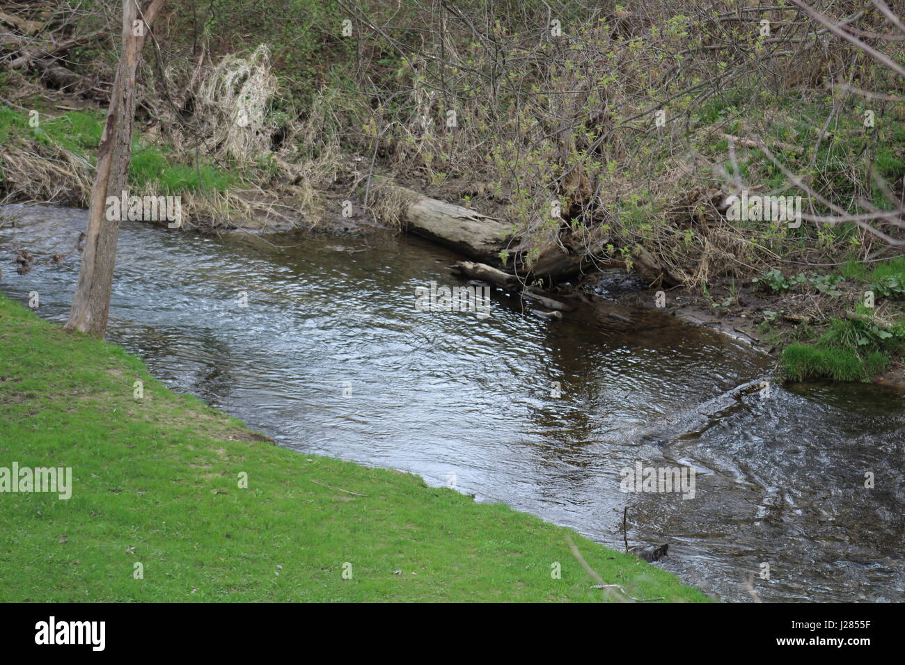 Trees over river without leaves hi-res stock photography and images - Alamy