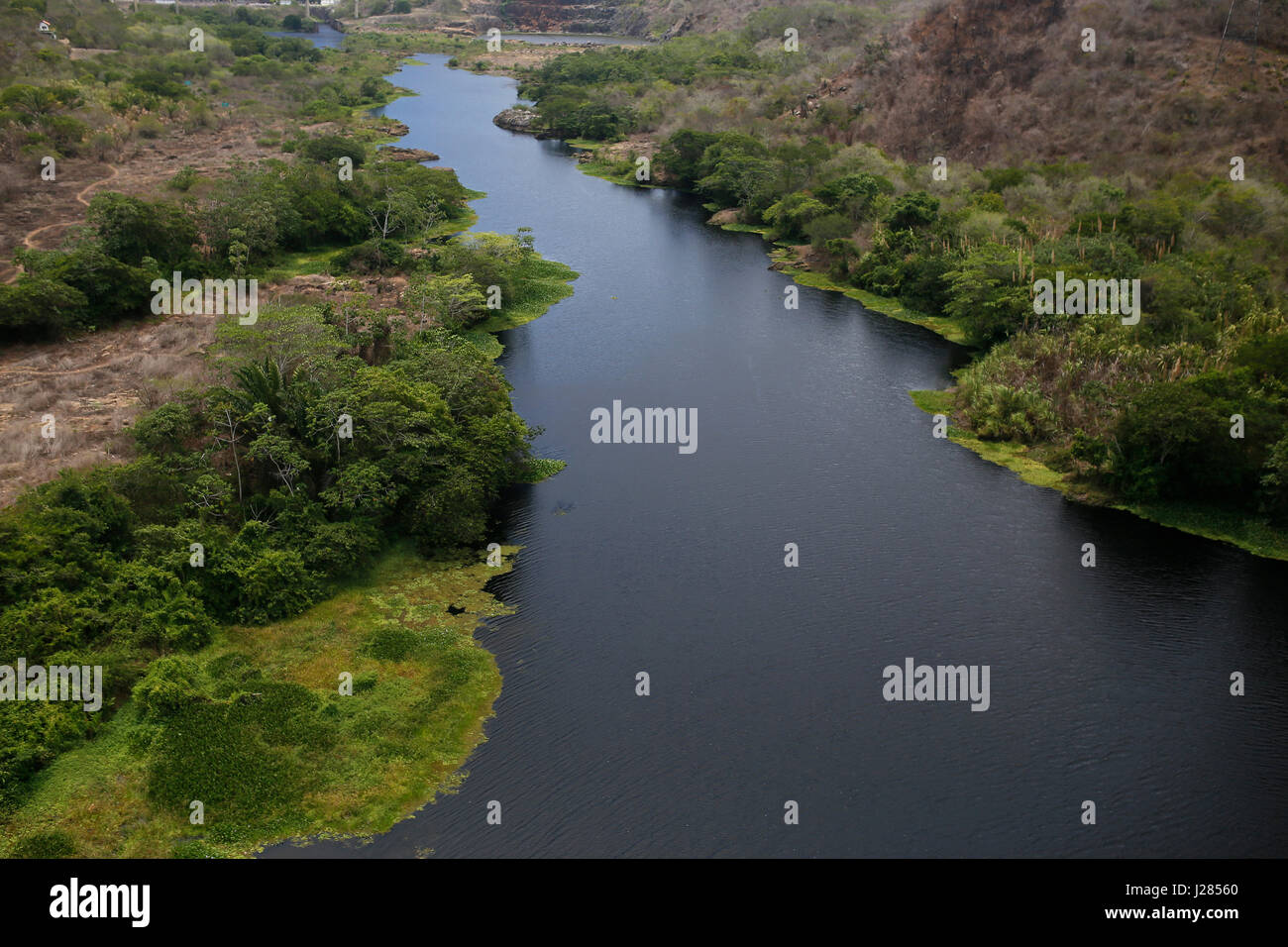 High angle view of river amidst plants Stock Photo - Alamy